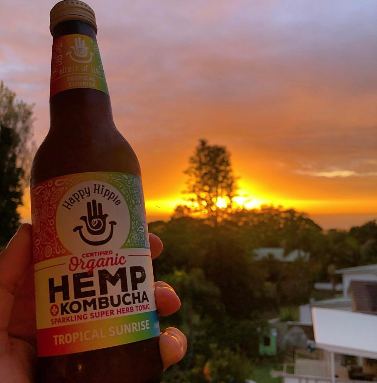 Happy Hippie Drinks | Shop Online